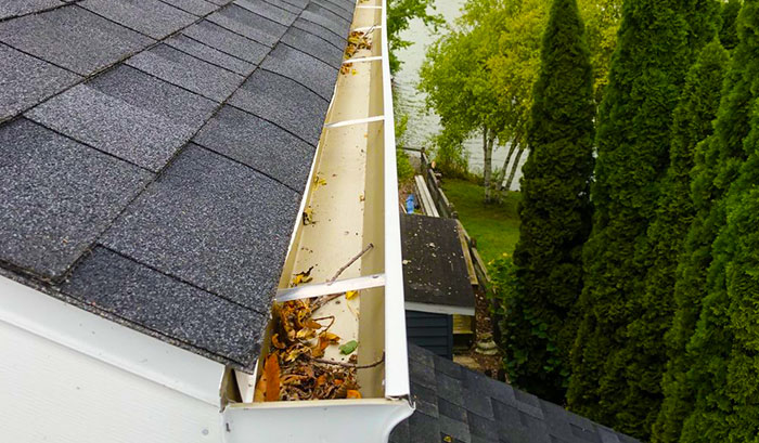 Windows Plus Gutters Inc.: Home Page